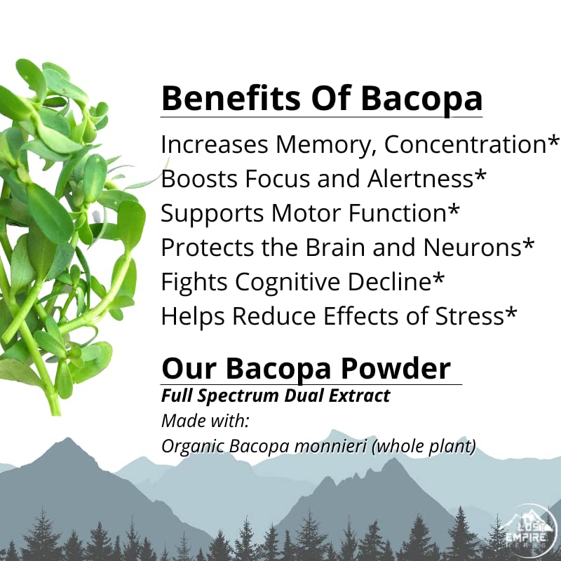 bacopa monnieri benefits for memory enhancement