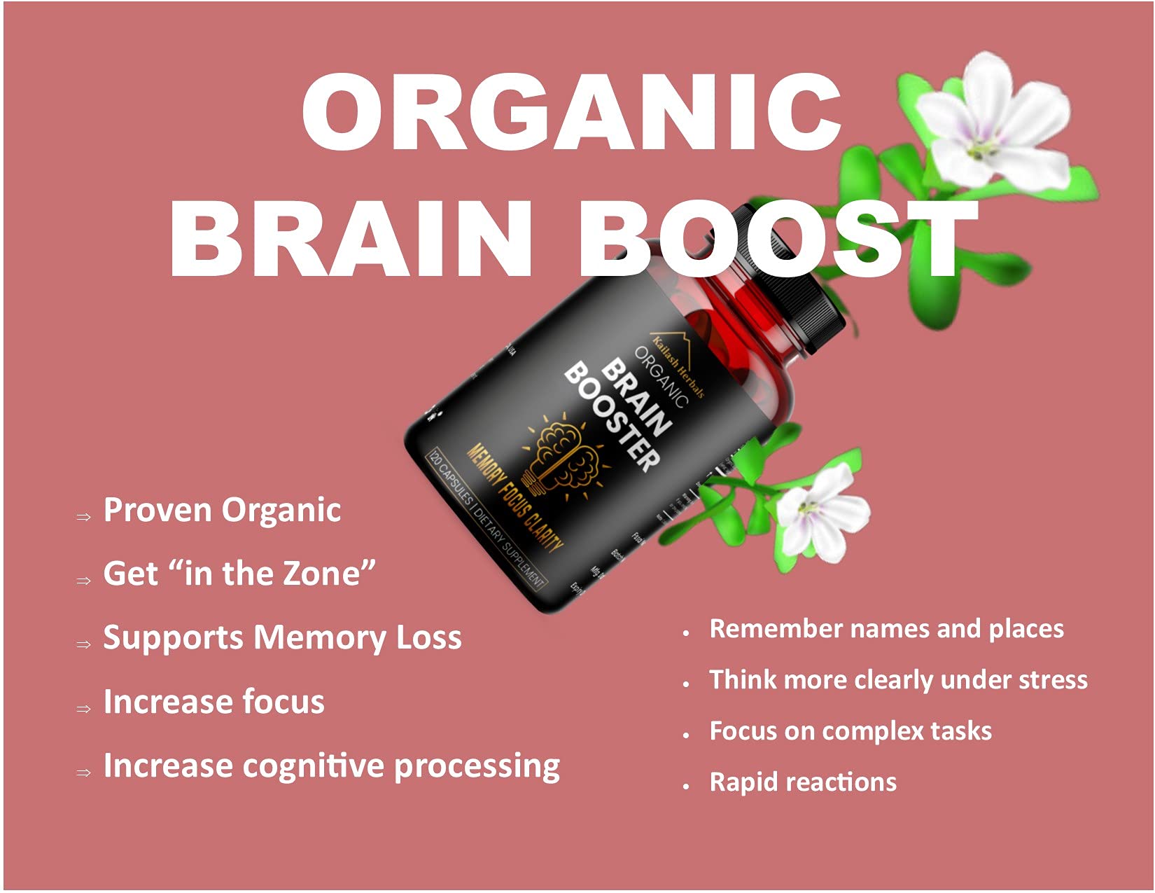 bacopa monnieri benefits for memory