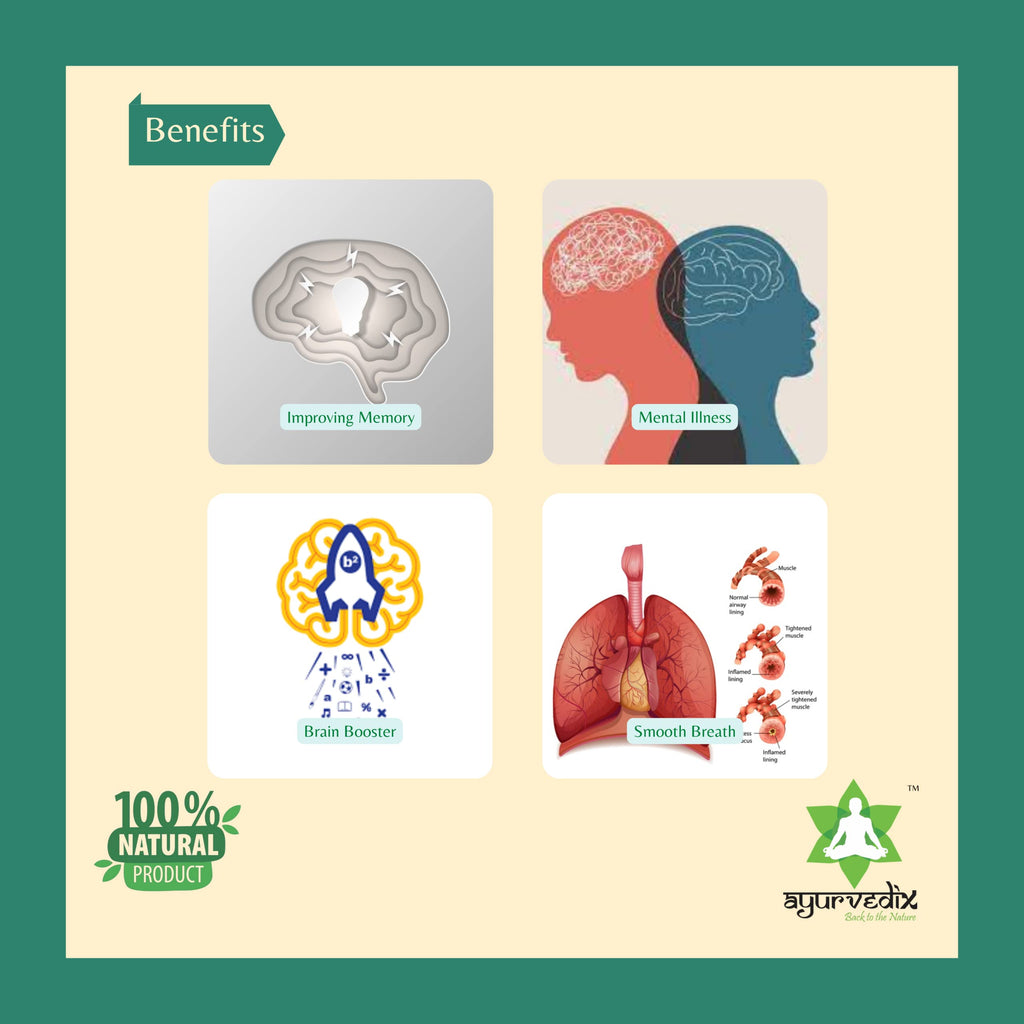 bacopa monnieri benefits for memory