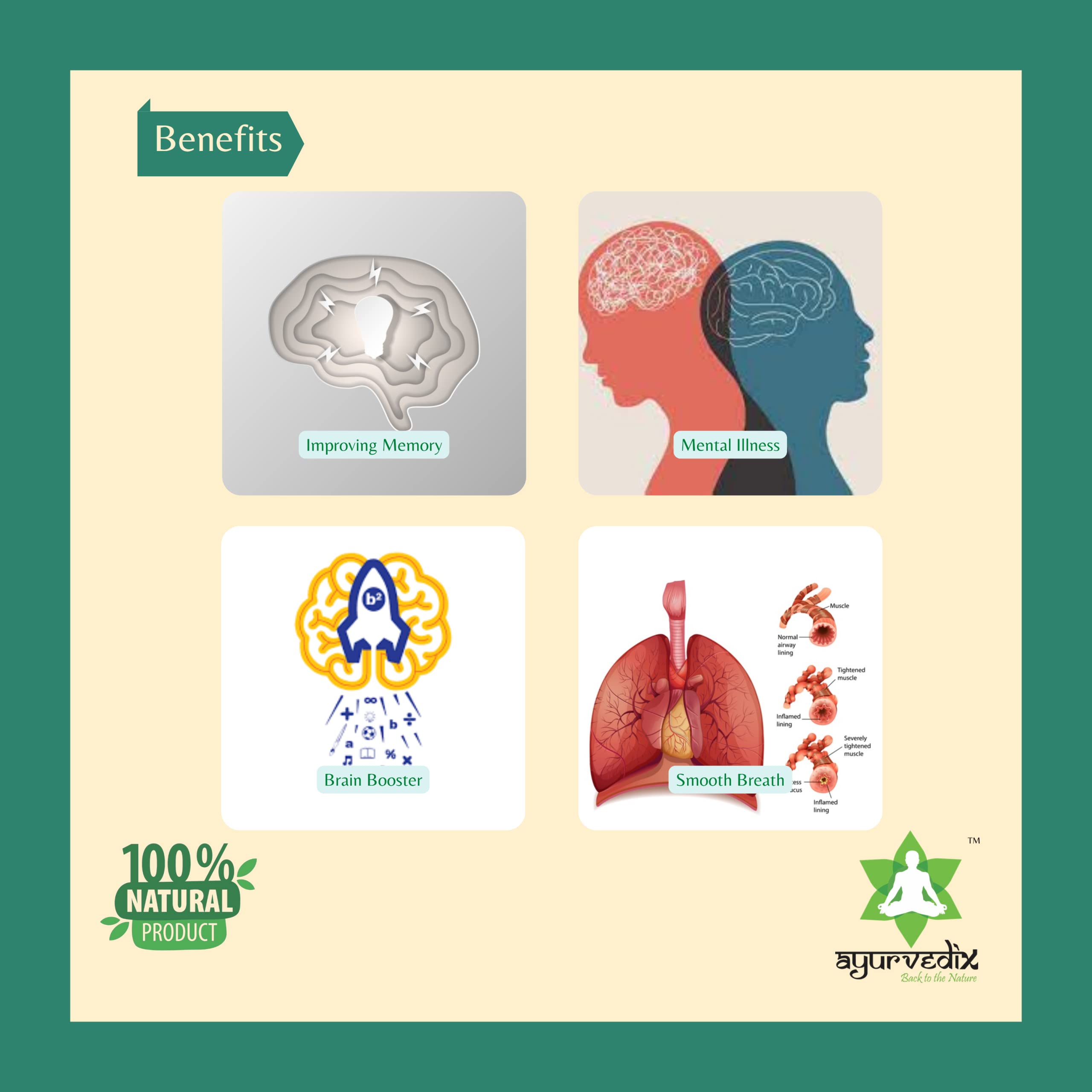 bacopa monnieri benefits for memory