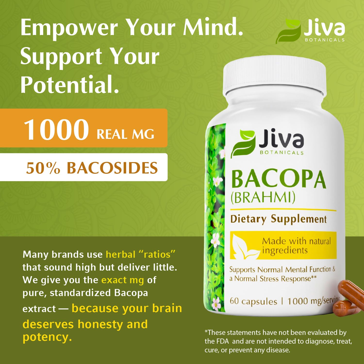 bacopa monnieri brain health support