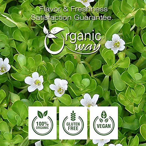 bacopa monnieri canada sourced herbal remedy