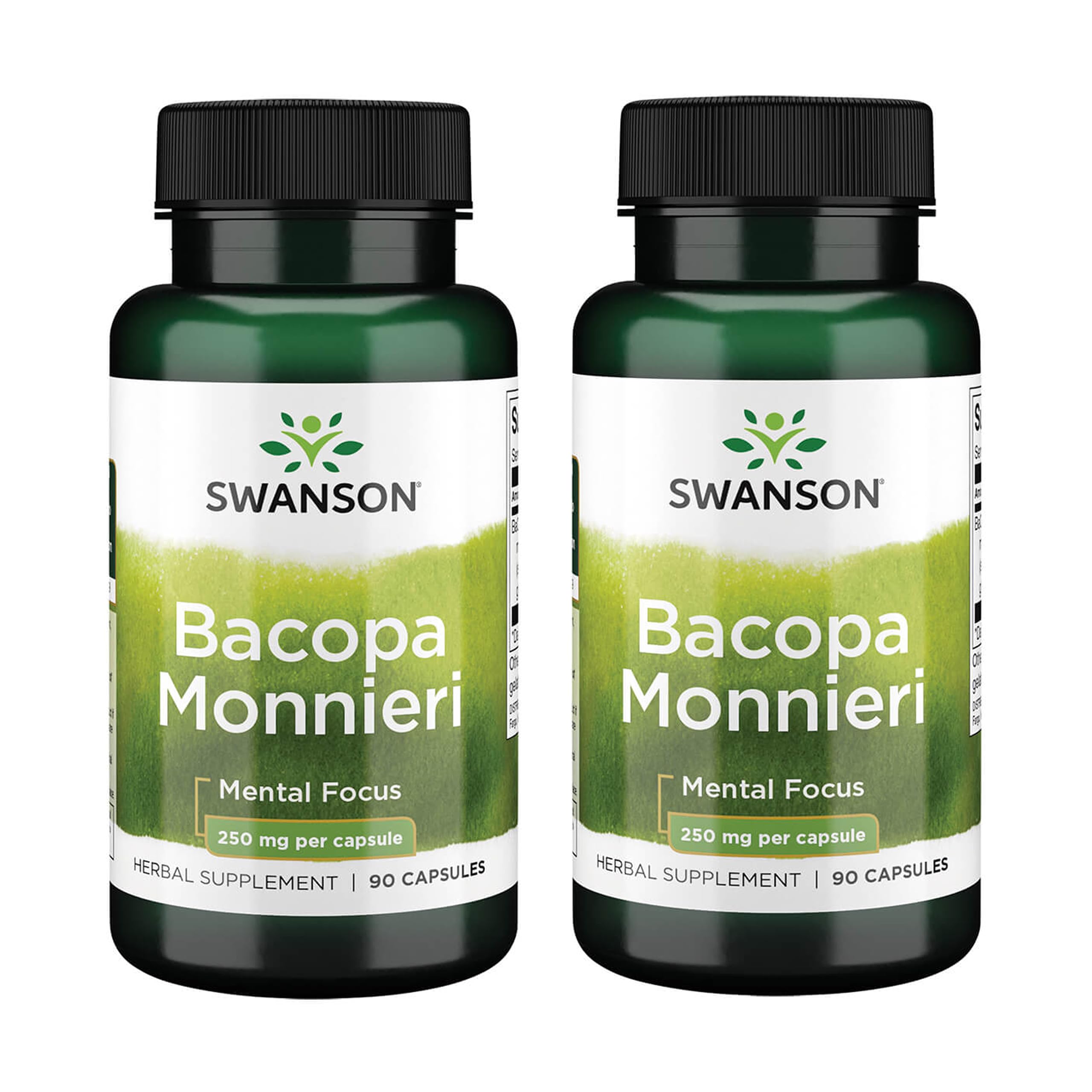 bacopa monnieri cognitive enhancement