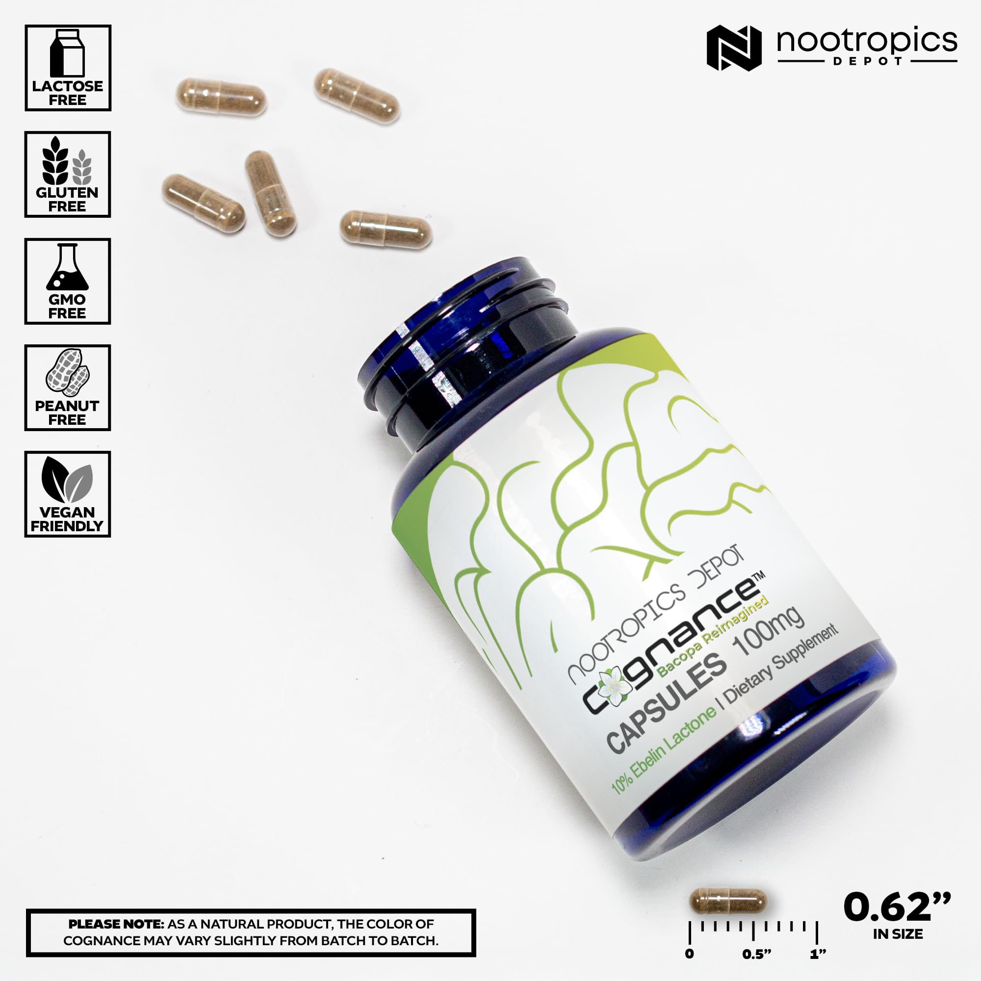 bacopa monnieri cognitive health