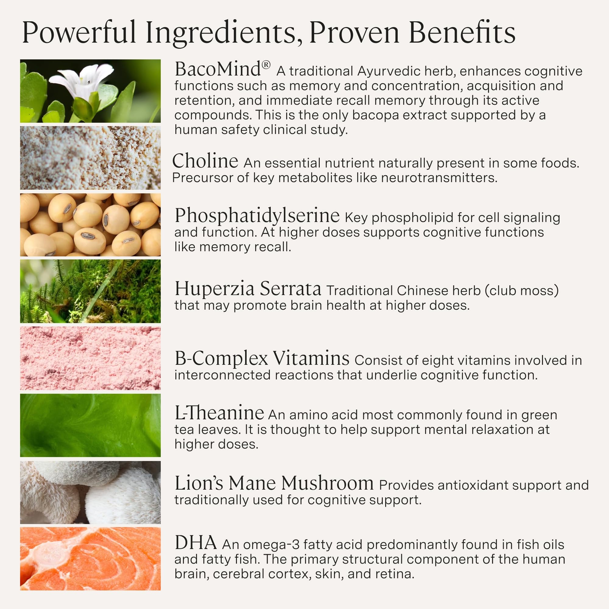 bacopa monnieri DHA and choline blend