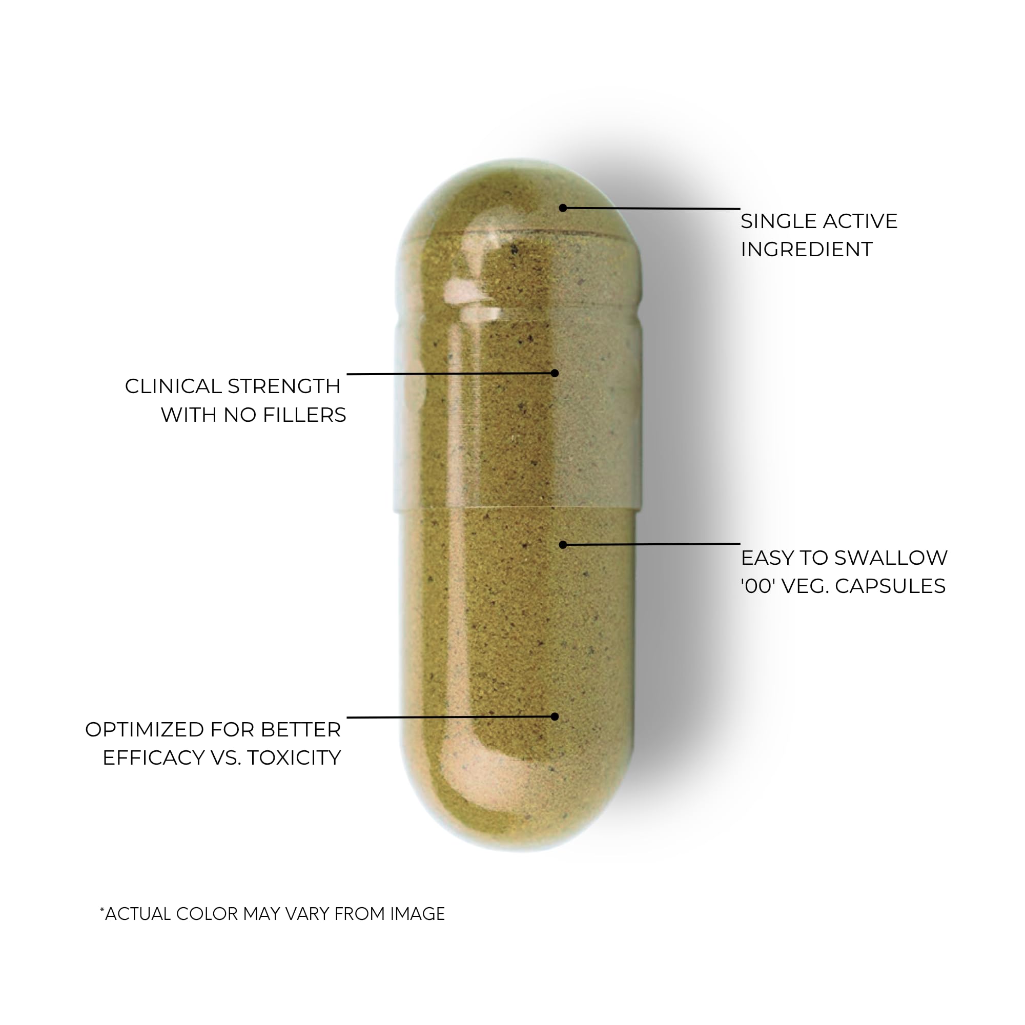 bacopa monnieri extract for enhanced learning