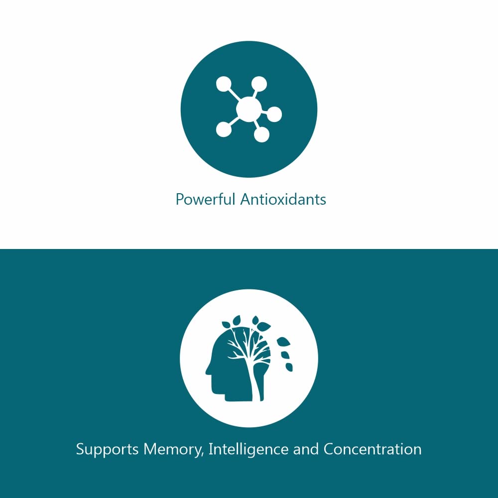 bacopa monnieri extract for focus