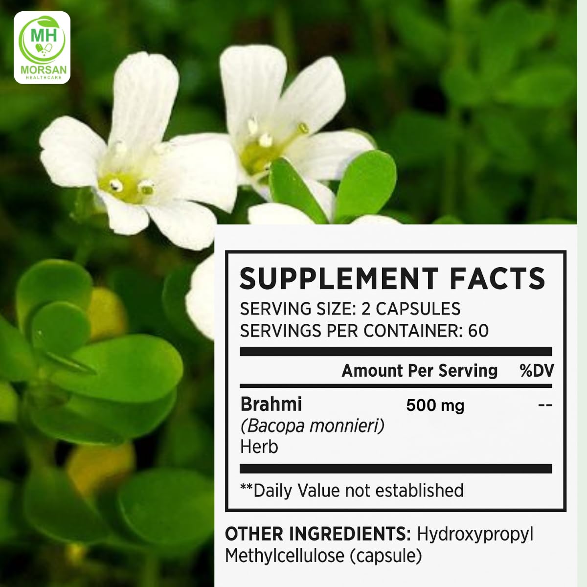 Bacopa Monnieri extract for focus