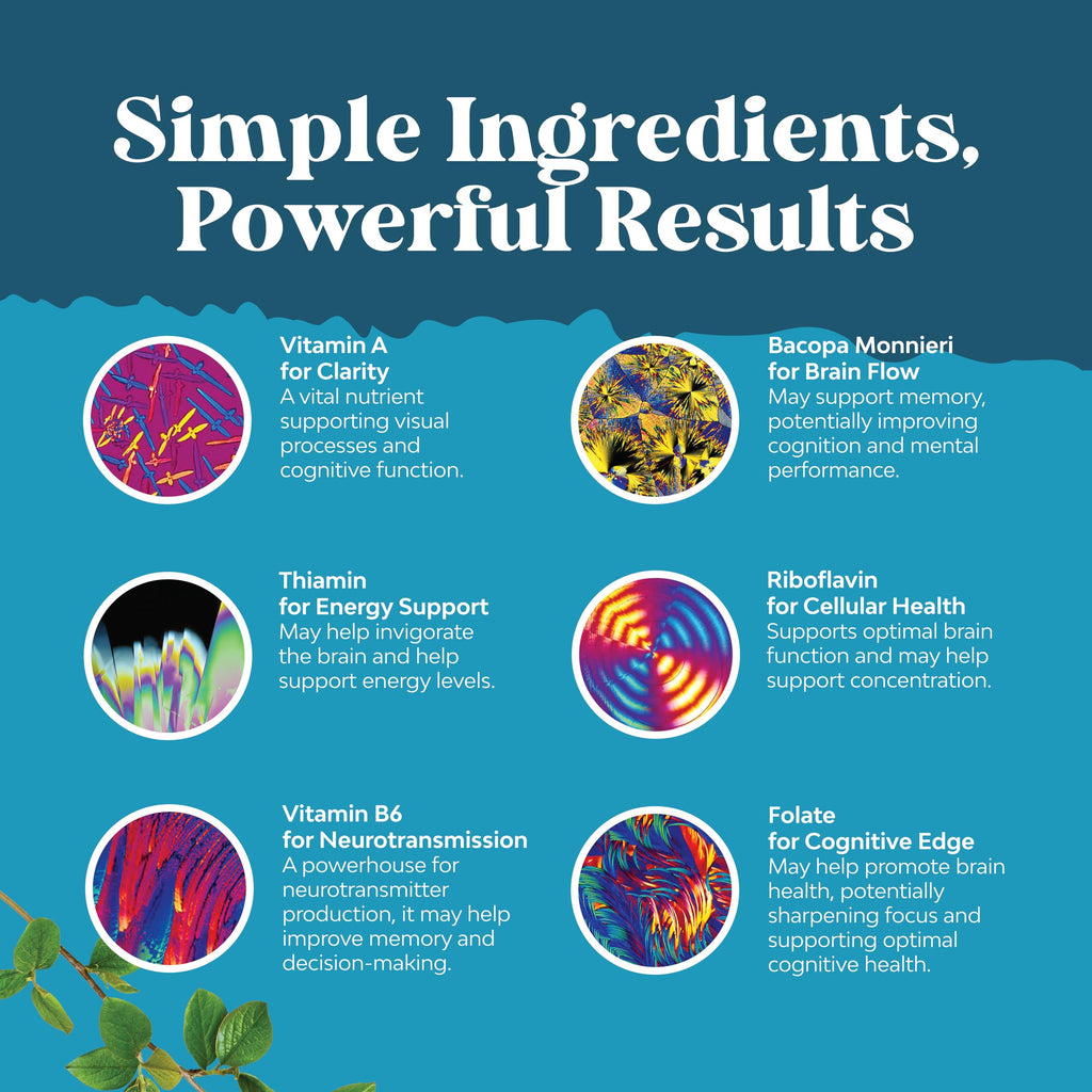 bacopa monnieri for better learning