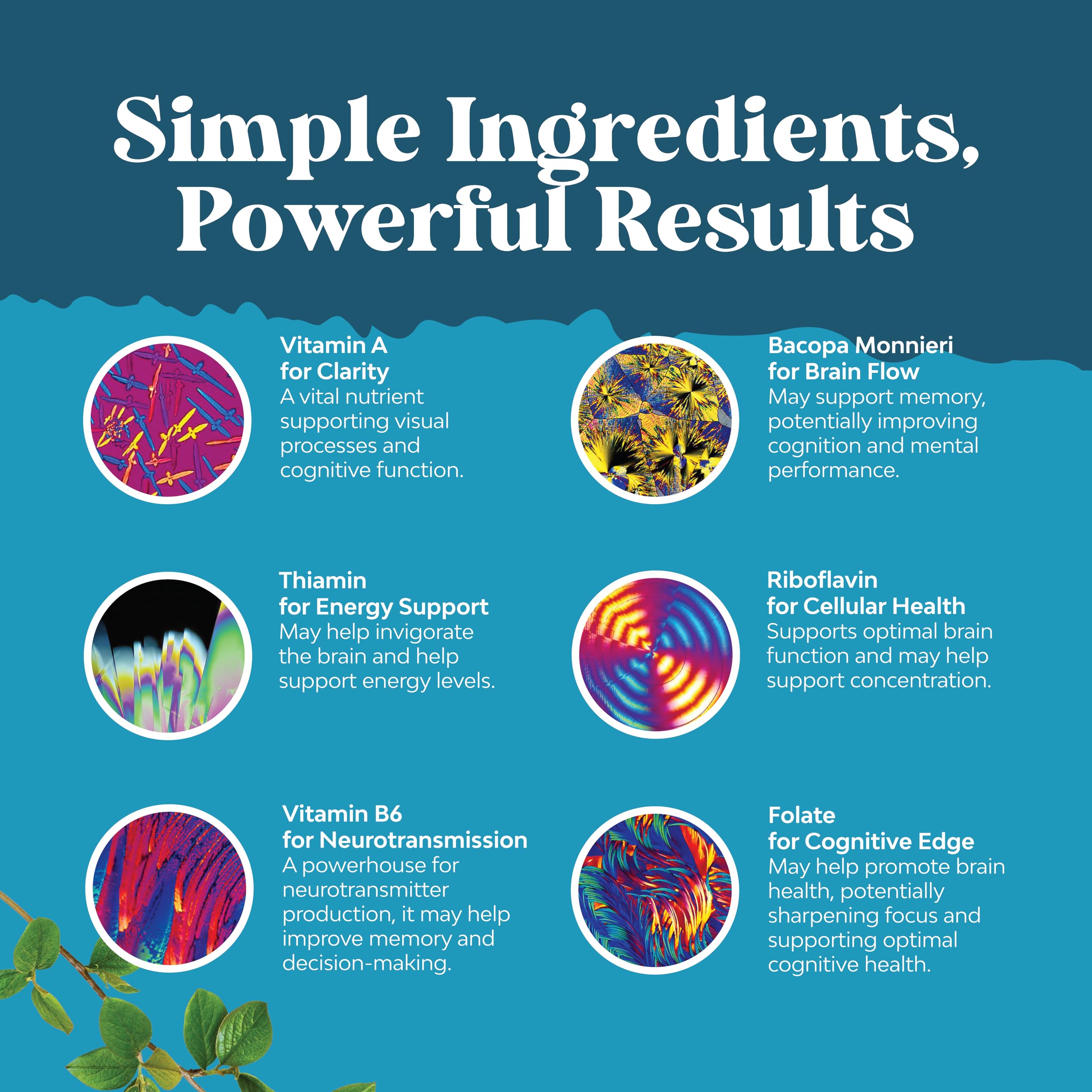 bacopa monnieri for better learning