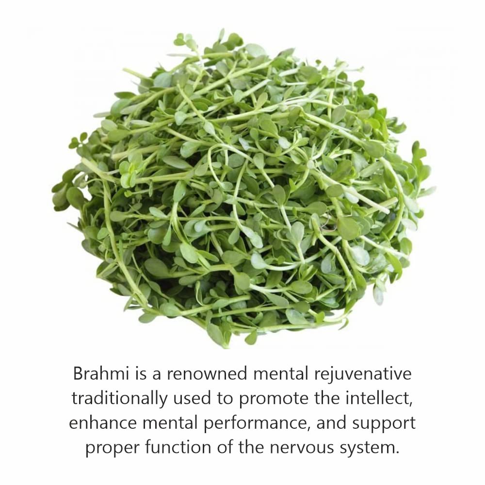 bacopa monnieri for cognitive support