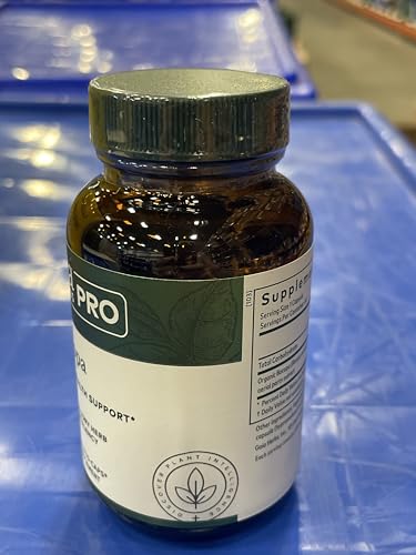 bacopa monnieri for daily mental support