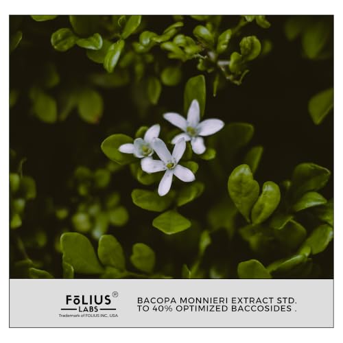 bacopa monnieri for enhanced concentration