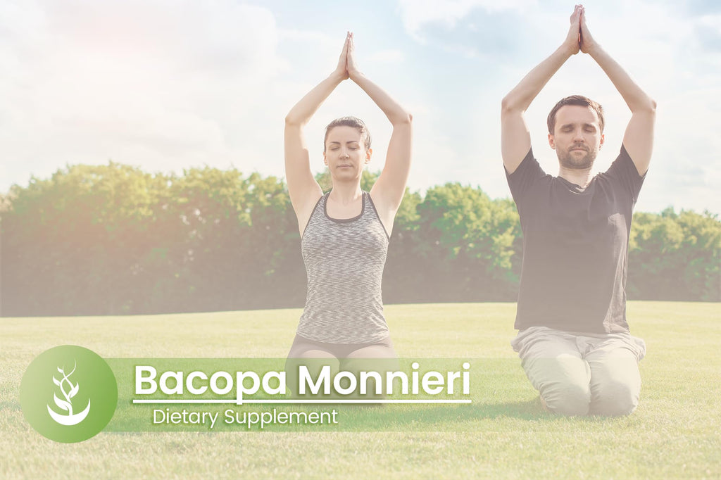 bacopa monnieri for enhanced focus