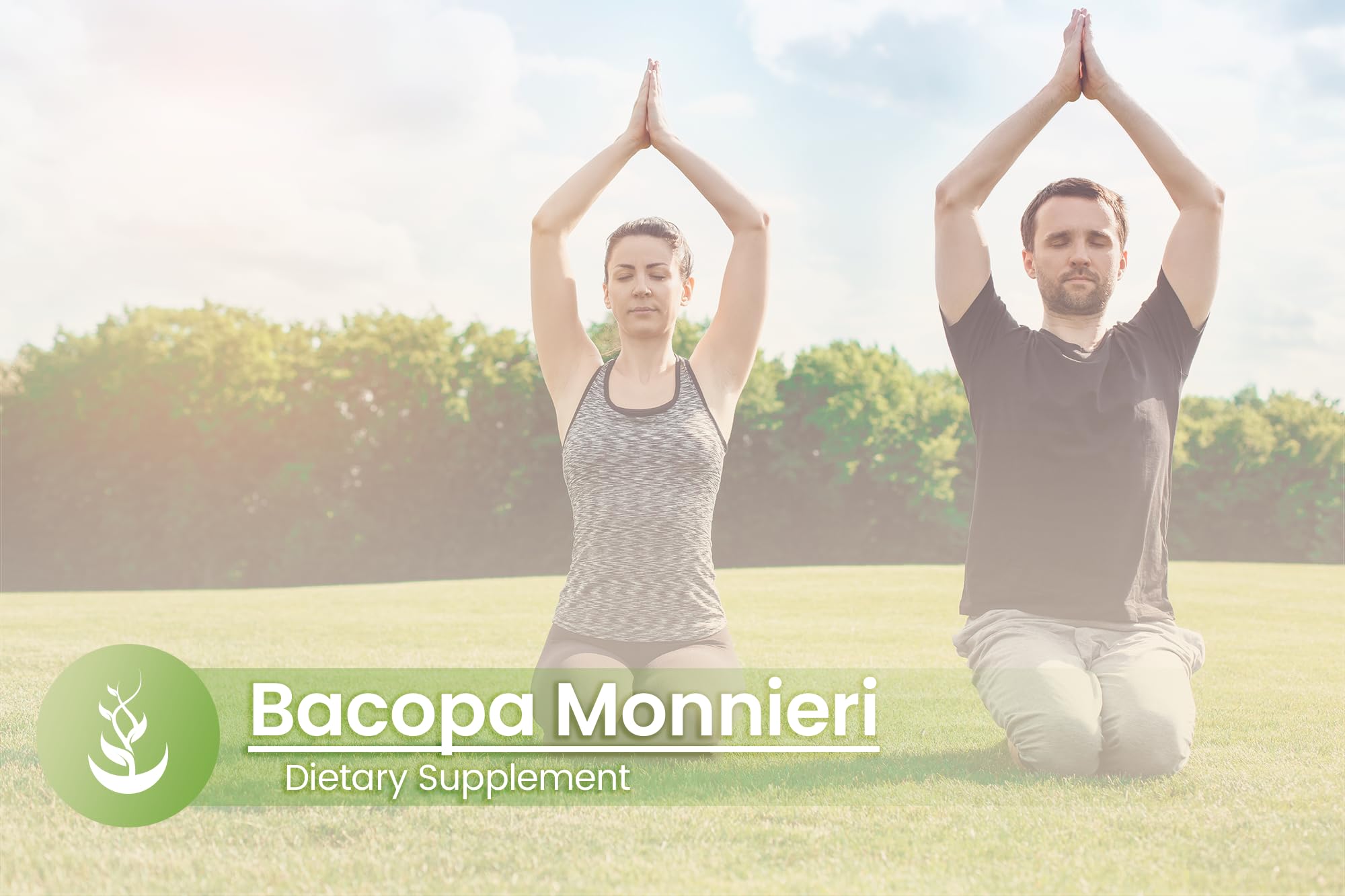 bacopa monnieri for enhanced focus