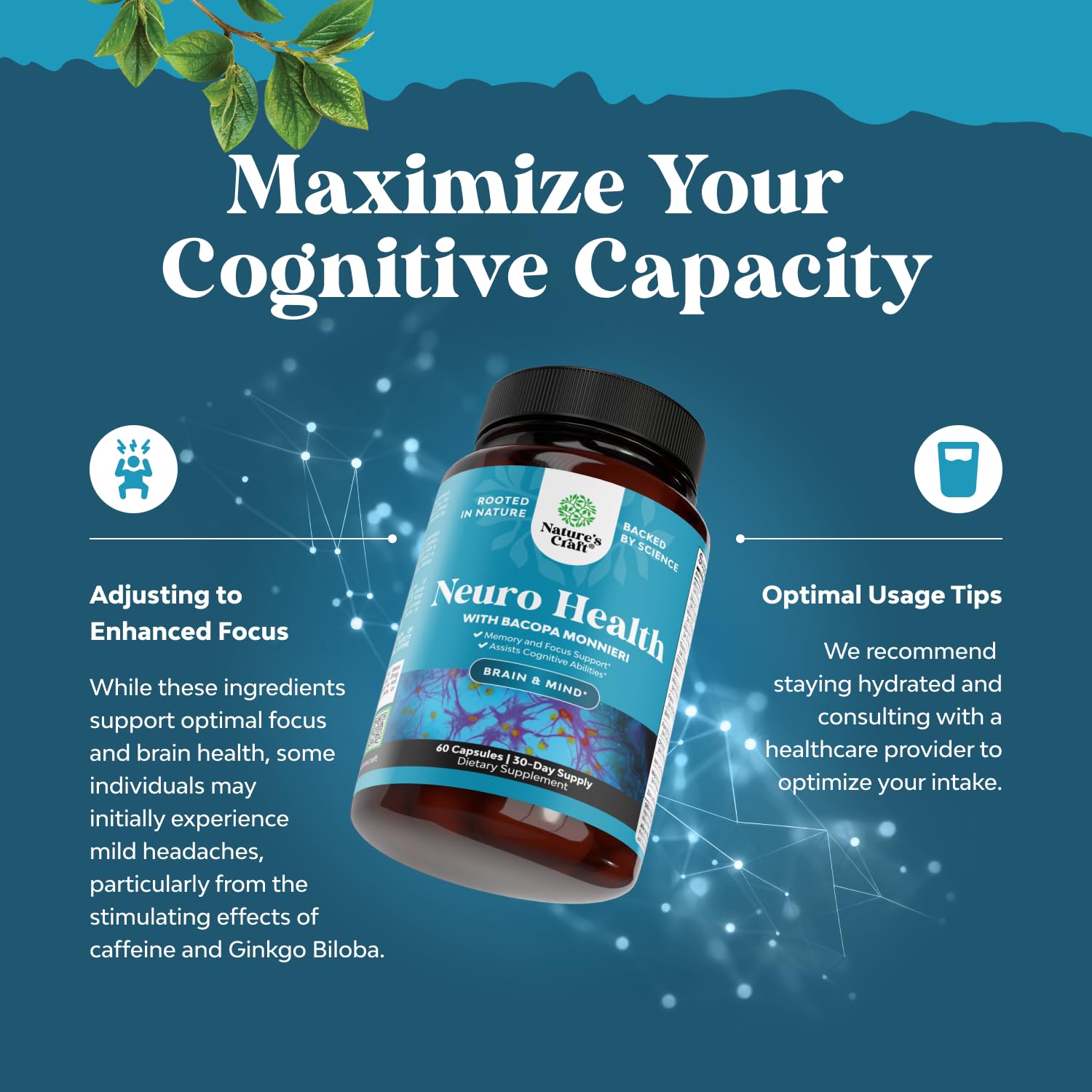 bacopa monnieri for improved concentration