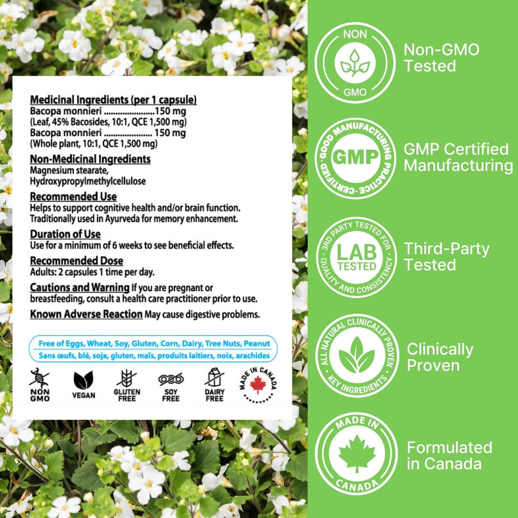 bacopa monnieri for improved concentration
