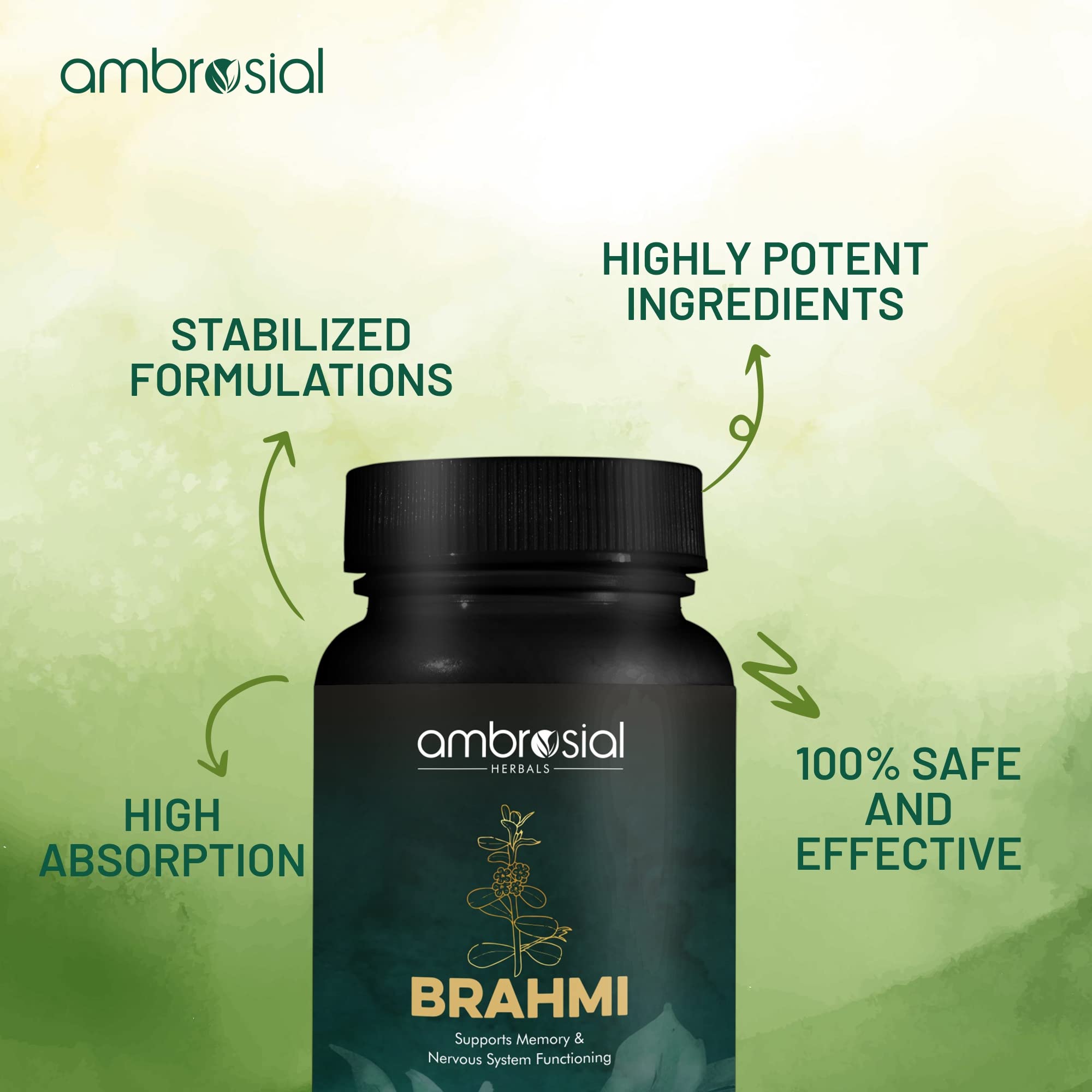 bacopa monnieri for improved concentration