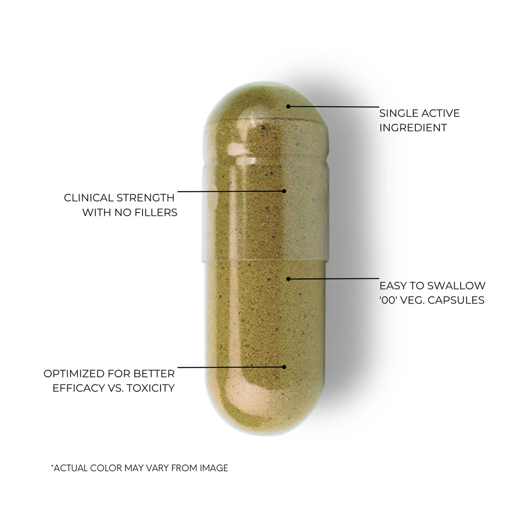bacopa monnieri for improved concentration