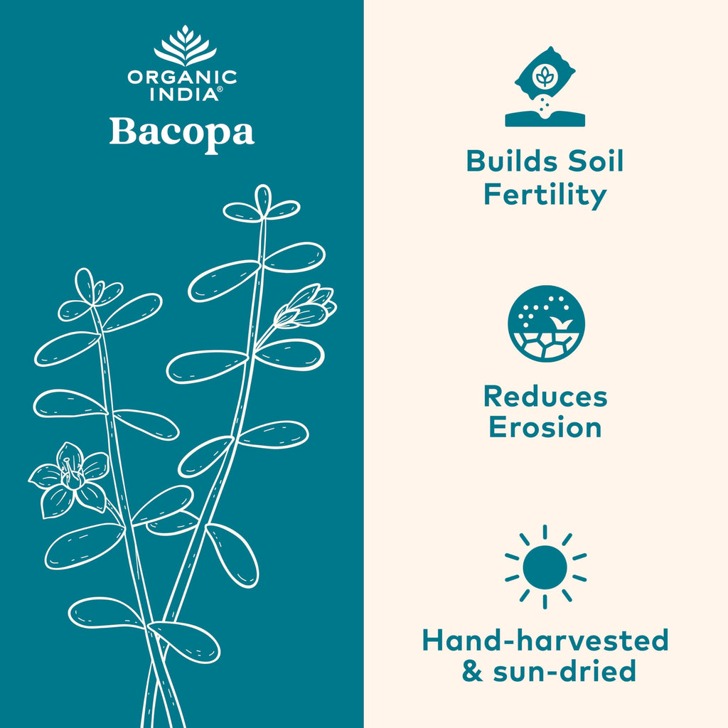 bacopa monnieri for improved focus