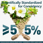 Bacopa Monnieri for improved memory