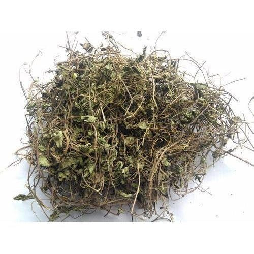 bacopa monnieri for mental clarity