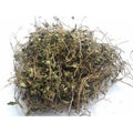 bacopa monnieri for mental clarity