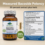 Bacopa Monnieri for mental clarity
