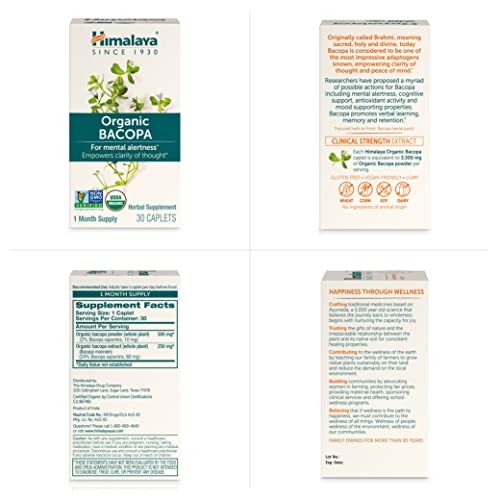 bacopa monnieri for overall brain health
