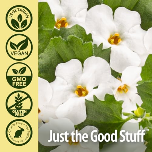 Bacopa Monnieri for stress relief