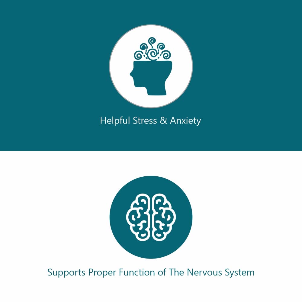 bacopa monnieri for stress relief