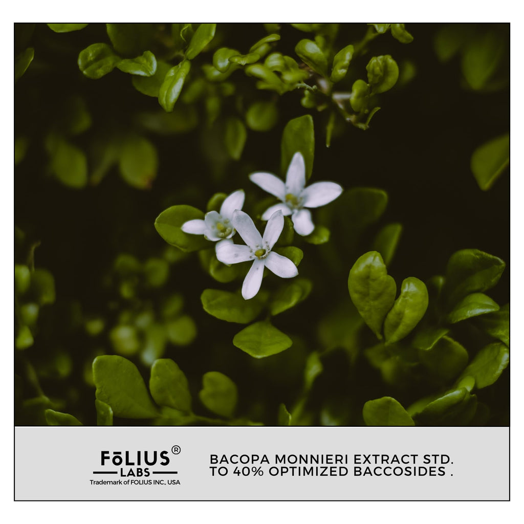 bacopa monnieri for students and professionals