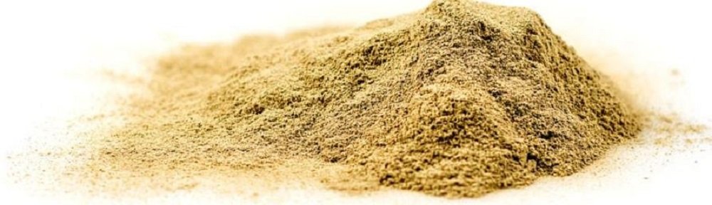 bacopa monnieri powder for brain health