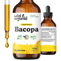 bacopa monnieri supplement for focus