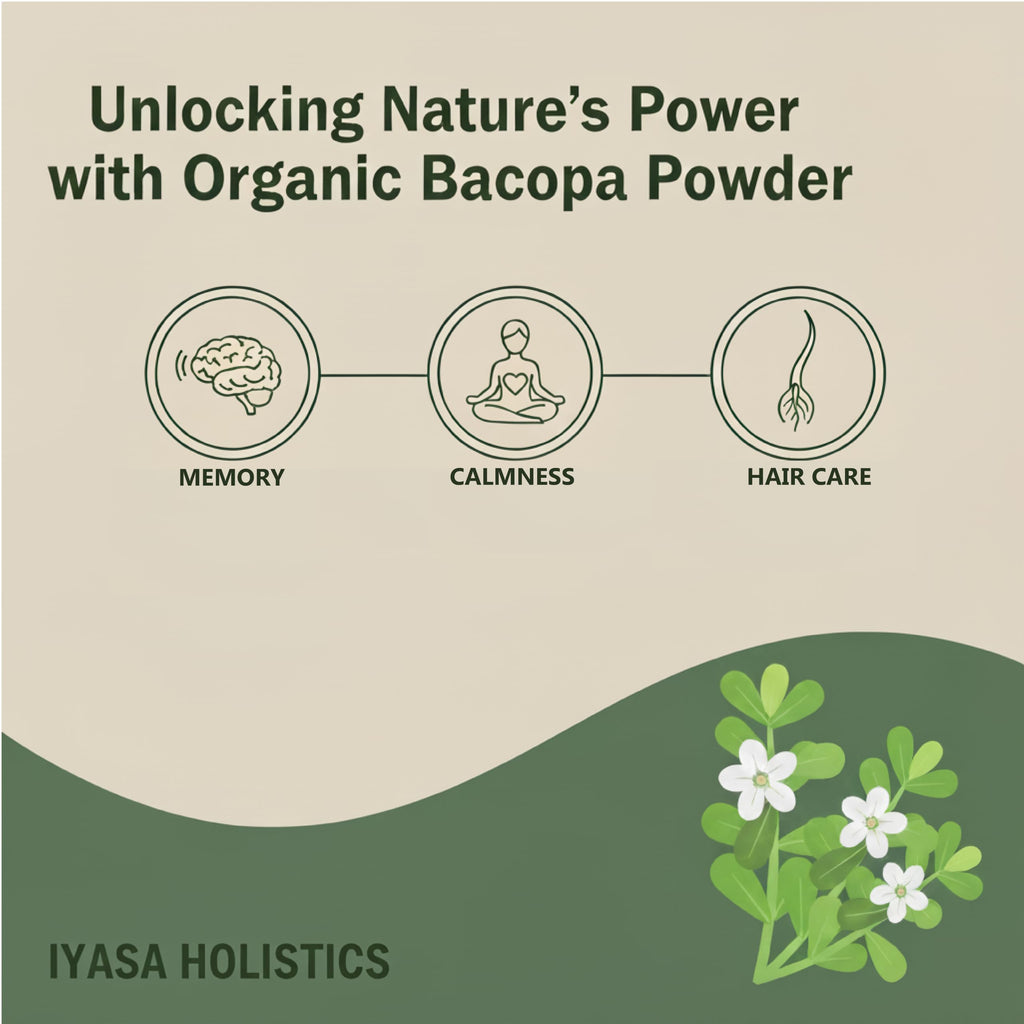 bacopa monnieri supplement for improved memory
