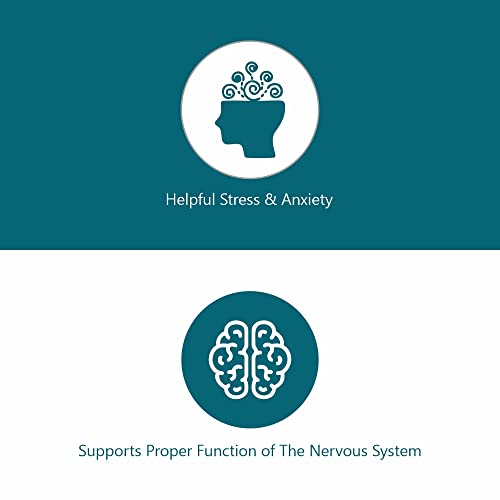 bacopa monnieri supplement for memory