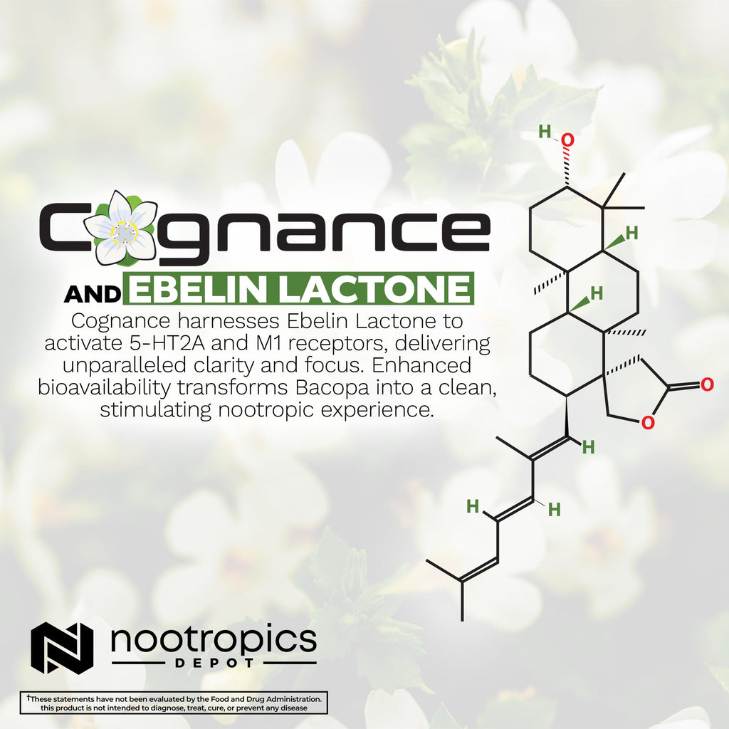 bacopa monnieri with 10% ebelin lactone