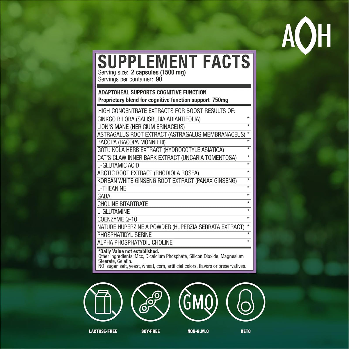 Bacopa multivitamins for cognitive support