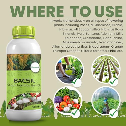 bacteria-based plant nutrient solution