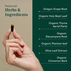 balance intestinal fungal growth