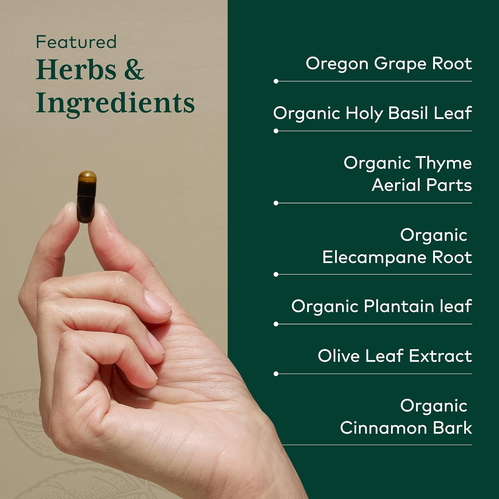 balance intestinal fungal growth
