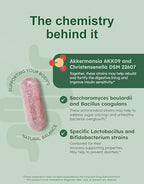 Balance probiotics for immune support