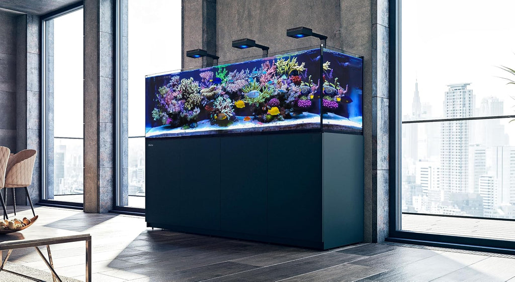Balanced calcium for thriving reefs