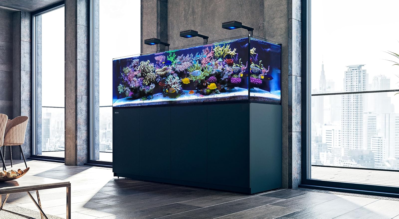 Balanced calcium for thriving reefs