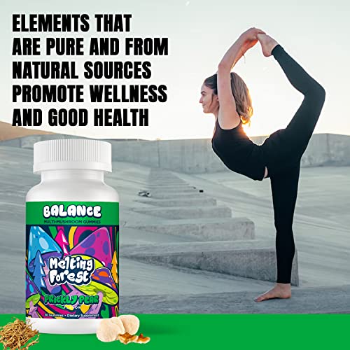 balanced mushroom blend for holistic health