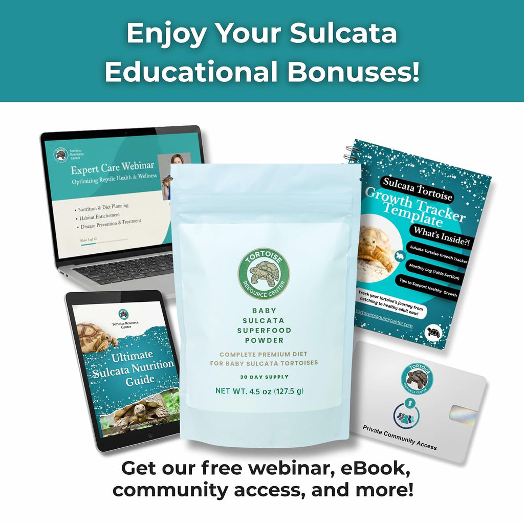 balanced nutrition for young sulcata tortoises