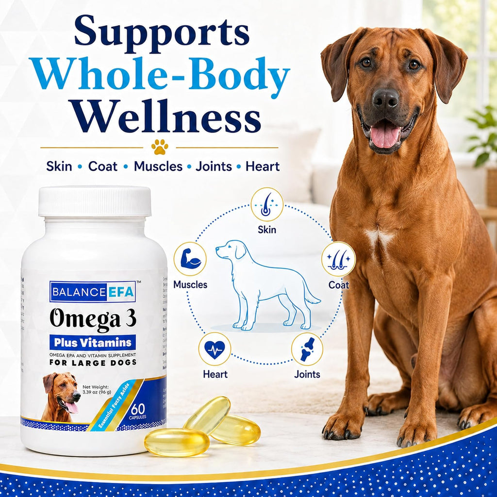 BalanceEFA fish oil for large breeds