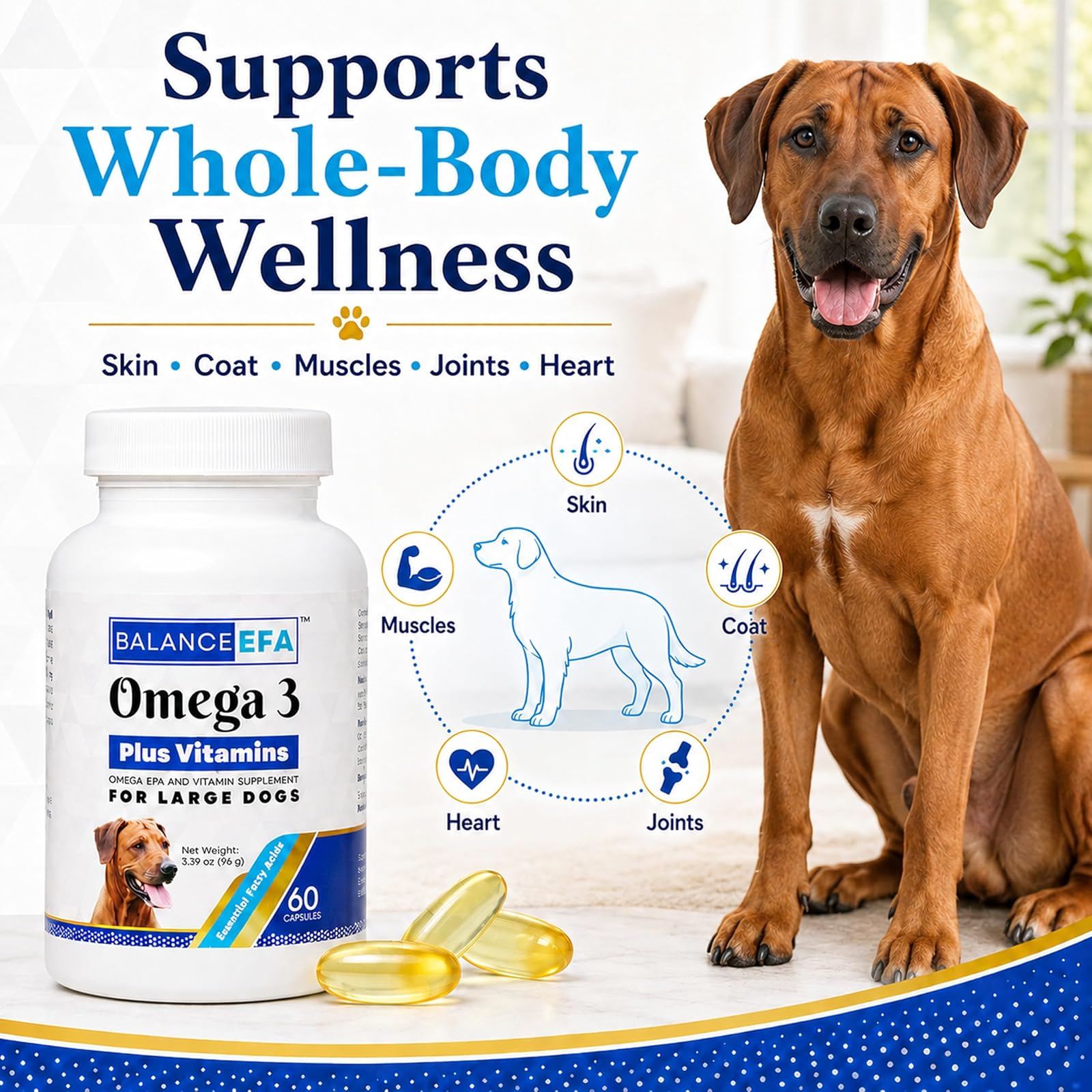 BalanceEFA fish oil for large breeds