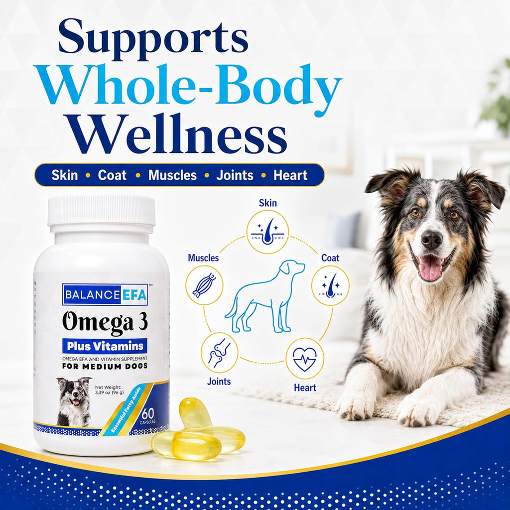 BalanceEFA softgels for dogs