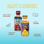 balaveda turmeric curcumin wellness drink